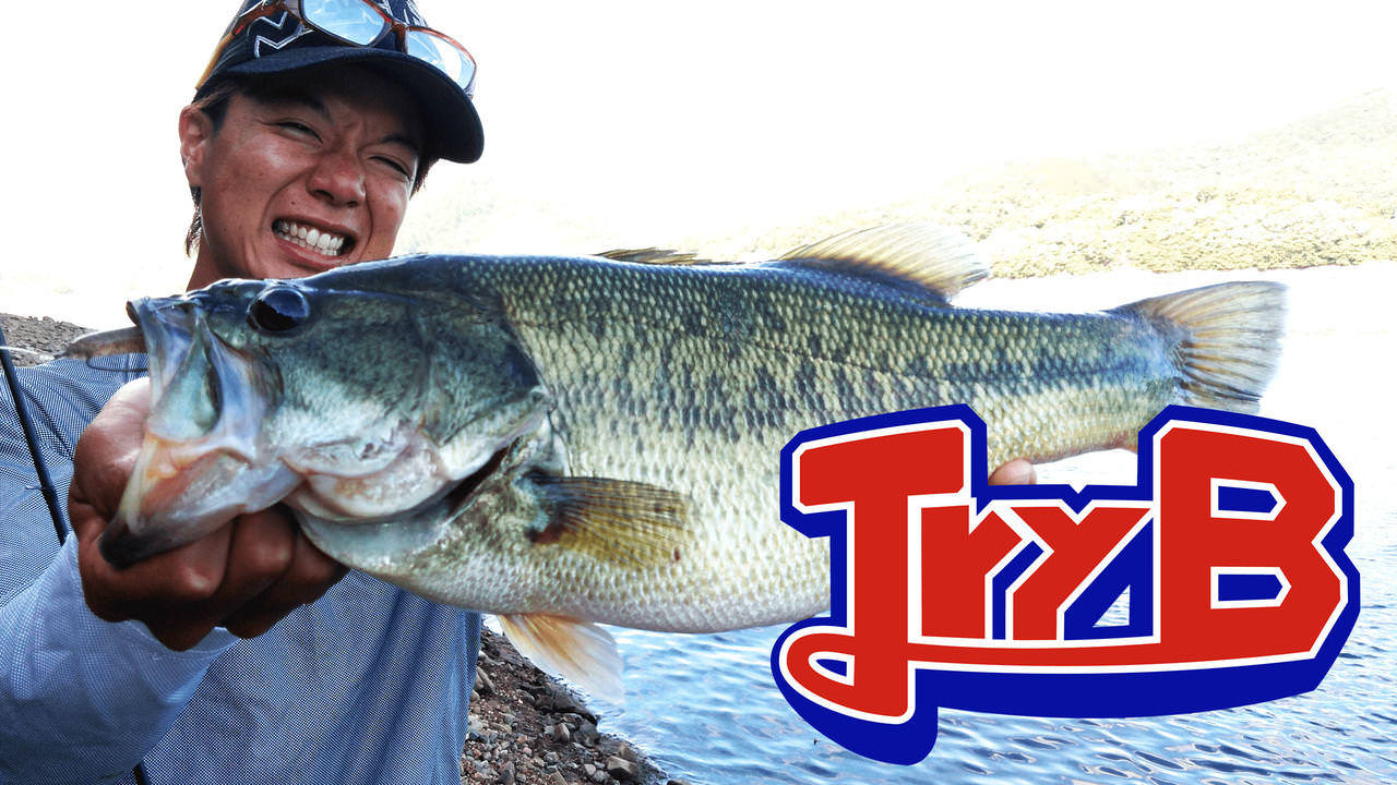 TryB | 釣りビジョンVOD